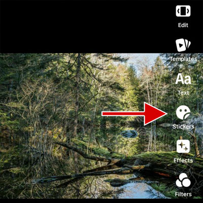 How to create a TikTok poll + tips for creating attractive polls ...