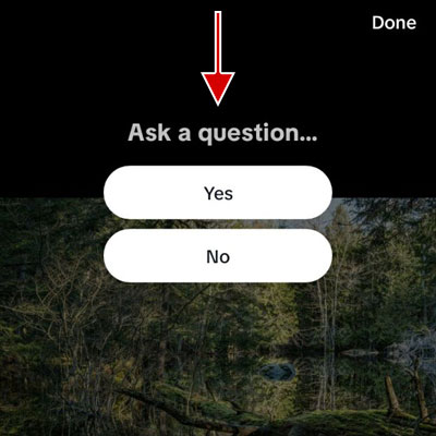 How to create a TikTok poll + tips for creating attractive polls ...