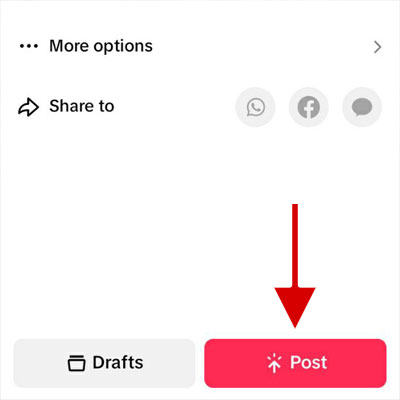 How to create a TikTok poll + tips for creating attractive polls ...