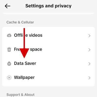 How to reduce TikTok data usage (2 useful methods) - SnapTik Blog